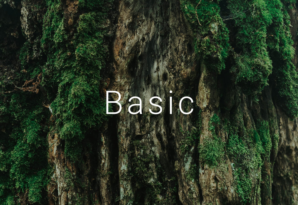 Basic – GreenTime